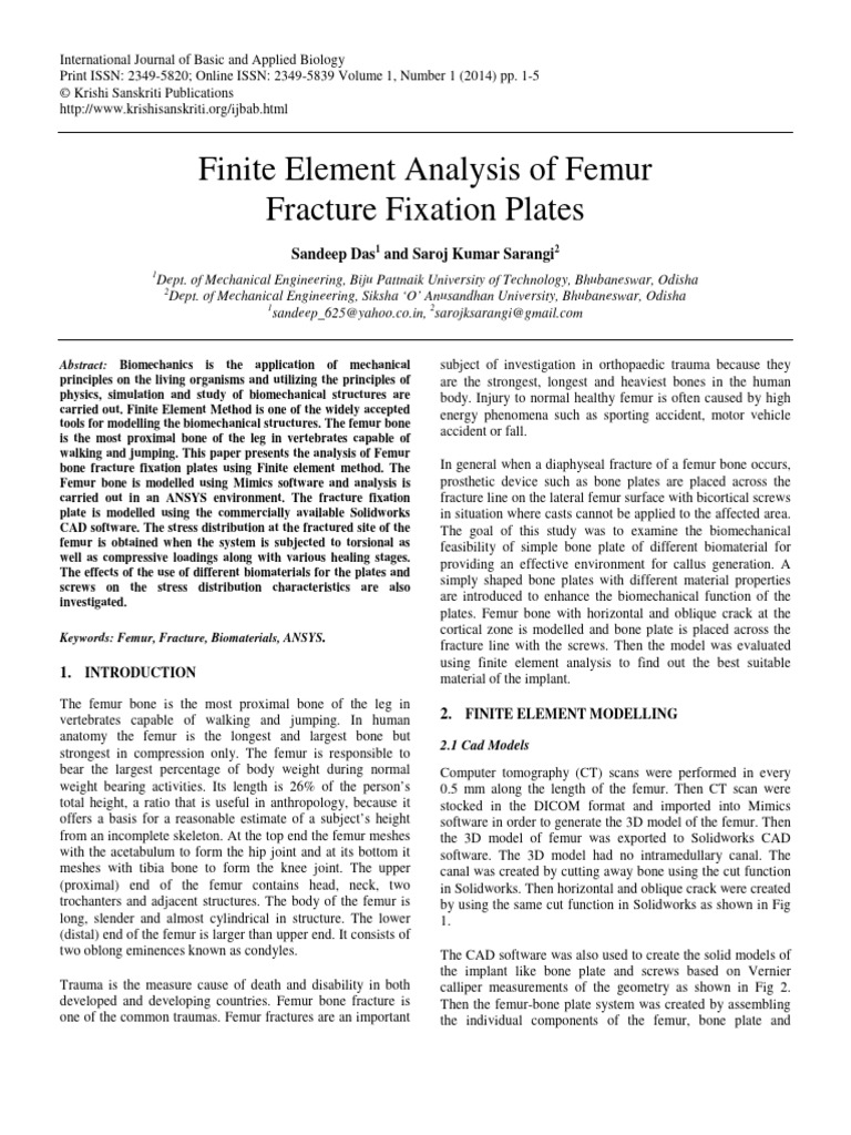 Fem Femore | PDF | Stress (Mechanics) | Elasticity (Physics)