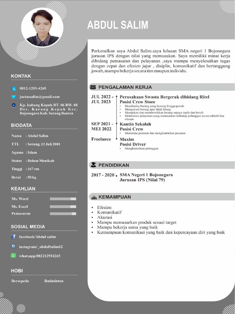 CV Abdul Salim | PDF