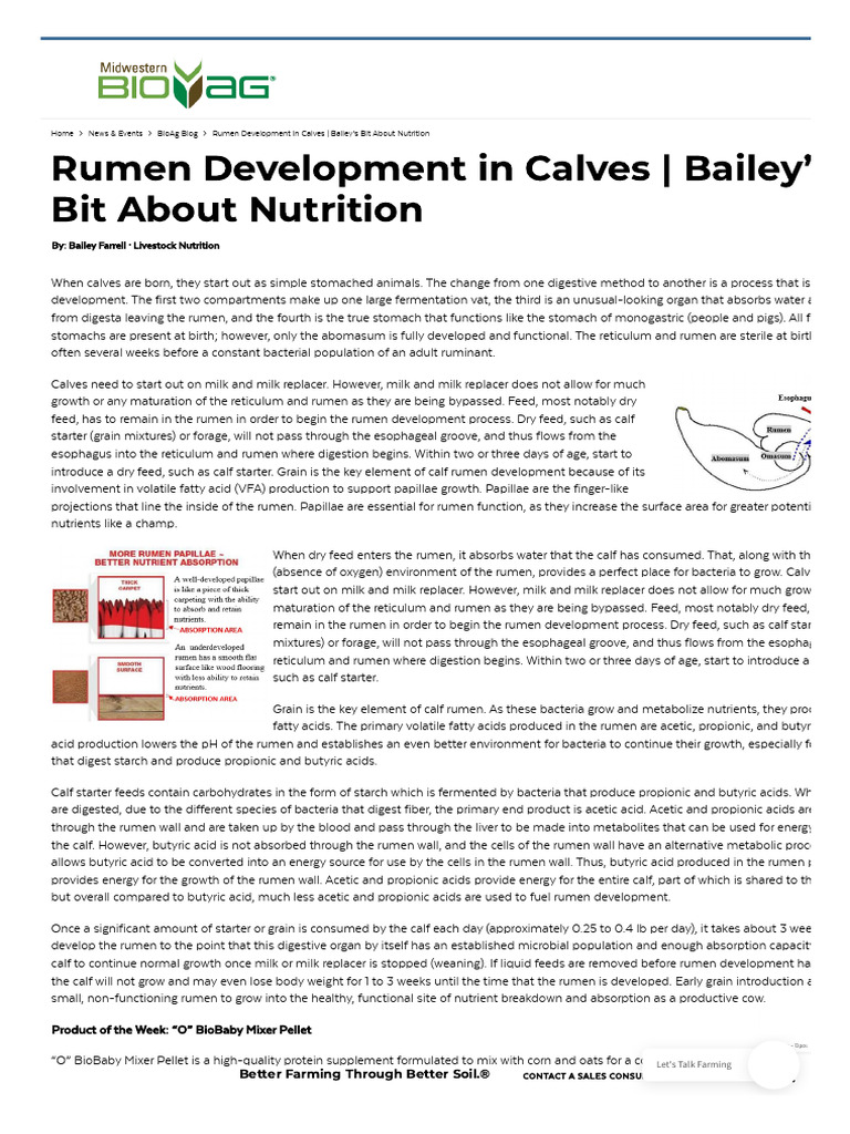 Rumen Development in Calves - Bailey's Bit About Nutrition - Midwestern ...