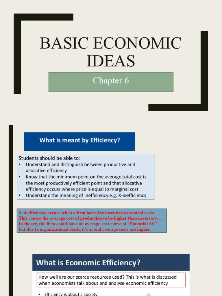 Economic Efficiency | PDF
