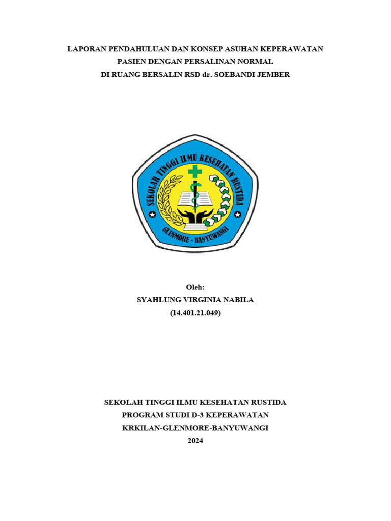 LP Persalinan Normal | PDF