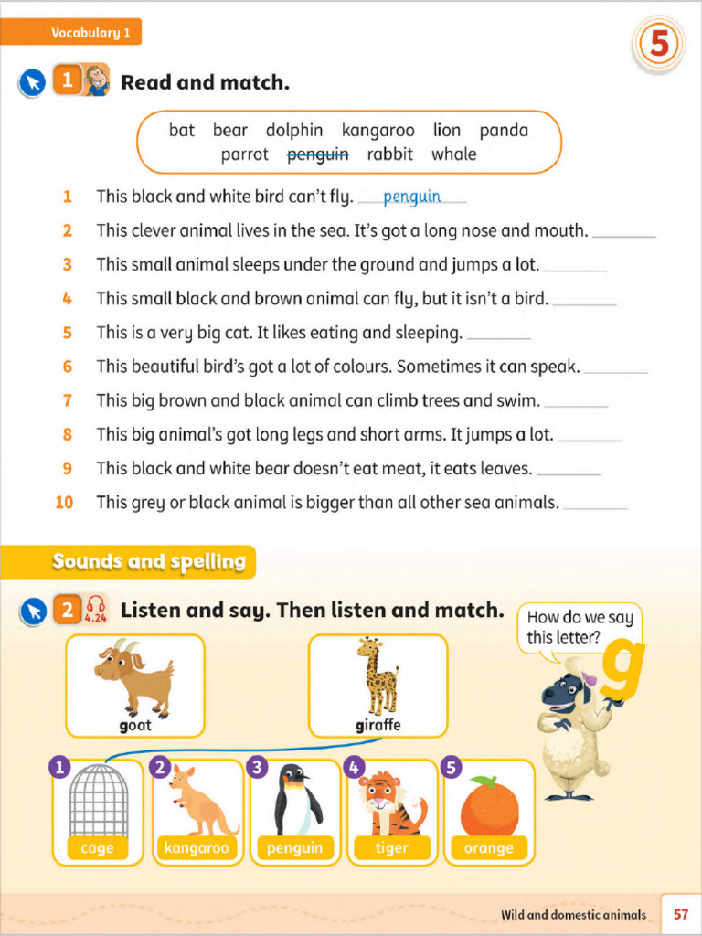 Unit 5 - Lesson 1 | PDF