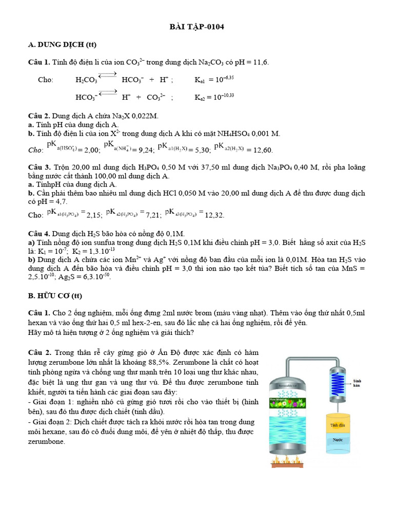 Đề 10 - 3003 | PDF