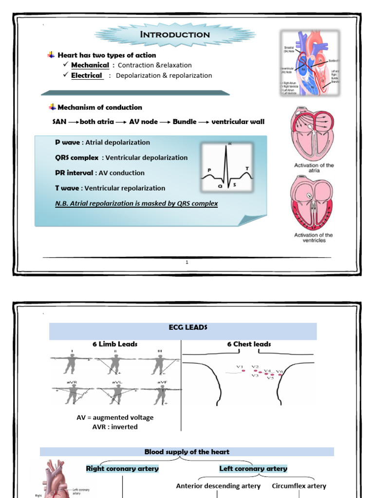 ECG Dr.allam | PDF | Electrocardiography | Heart