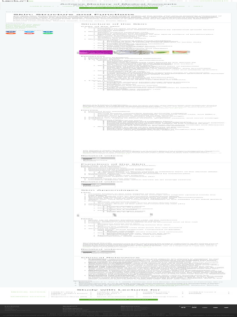Skin Structure and Functions Concise Medical K | PDF | Skin | Epidermis