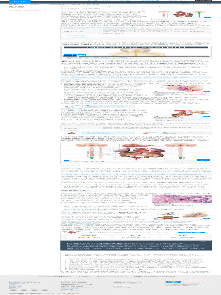 Parasympathetic Nervous System Anatomy and Functions Kenhub | PDF ...