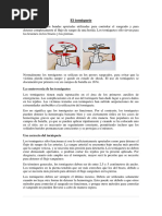 TORNIQUETE | PDF | Nudo | Enfermedades y trastornos