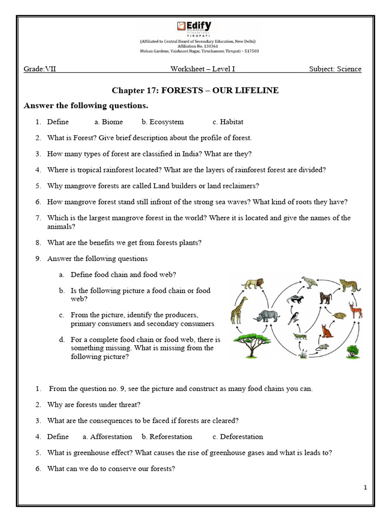 Forests: Class 7 Science Worksheet | PDF