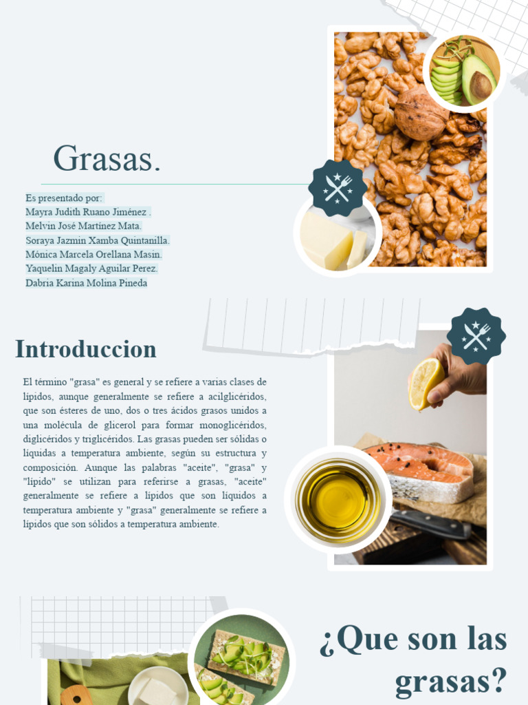 GRASAS | PDF | gordo | Lípido