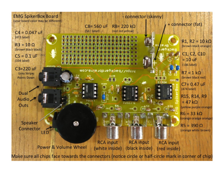 EMG Annotated Board | PDF