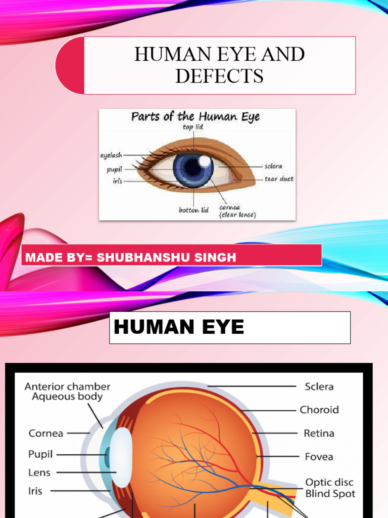 Shubh Holiday Homework Physics | PDF | Human Eye | Eye