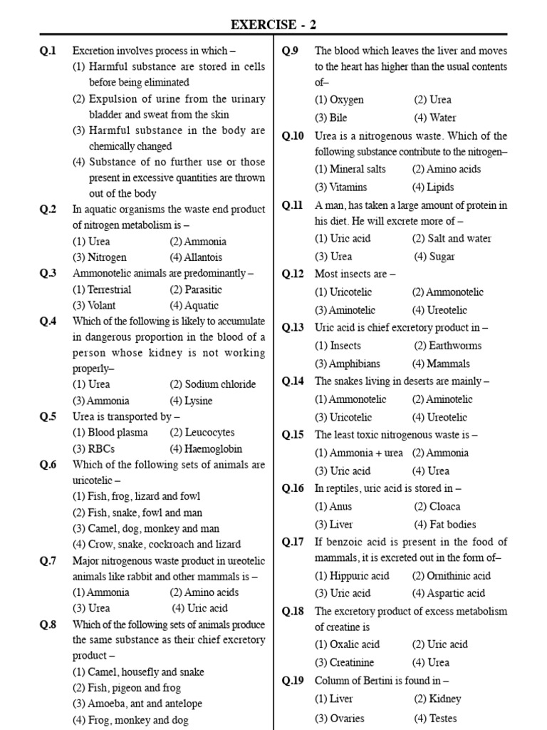 Excretory Processes and Organisms Quiz | PDF | Kidney | Urinary System
