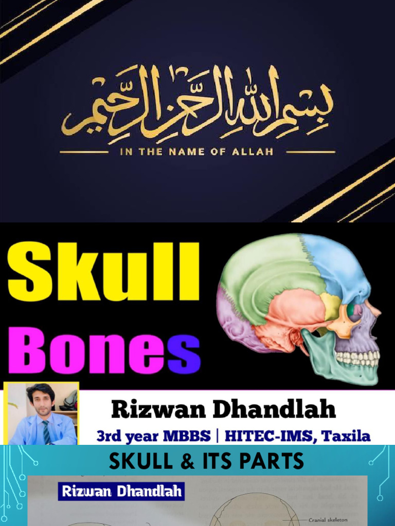 Skull Bones | PDF