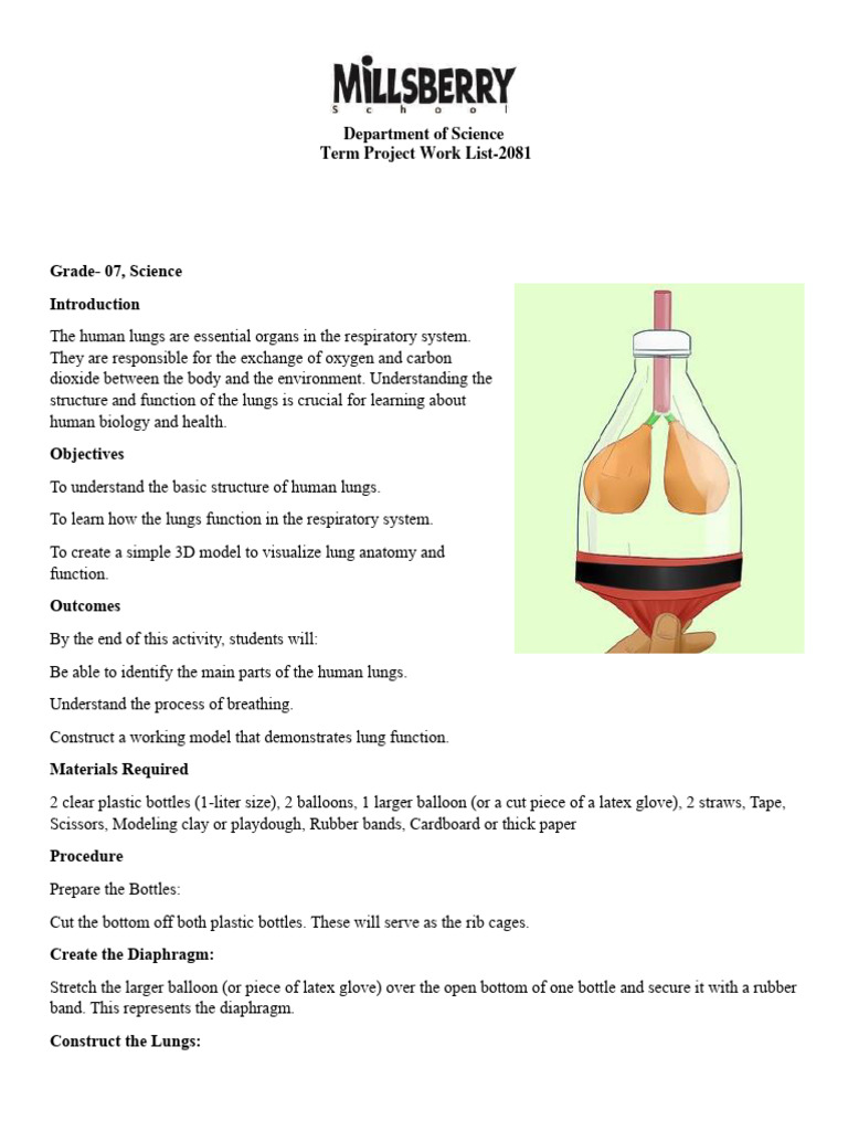Grade 7 Science-Project-1T-2081 | PDF | Lung | Solubility