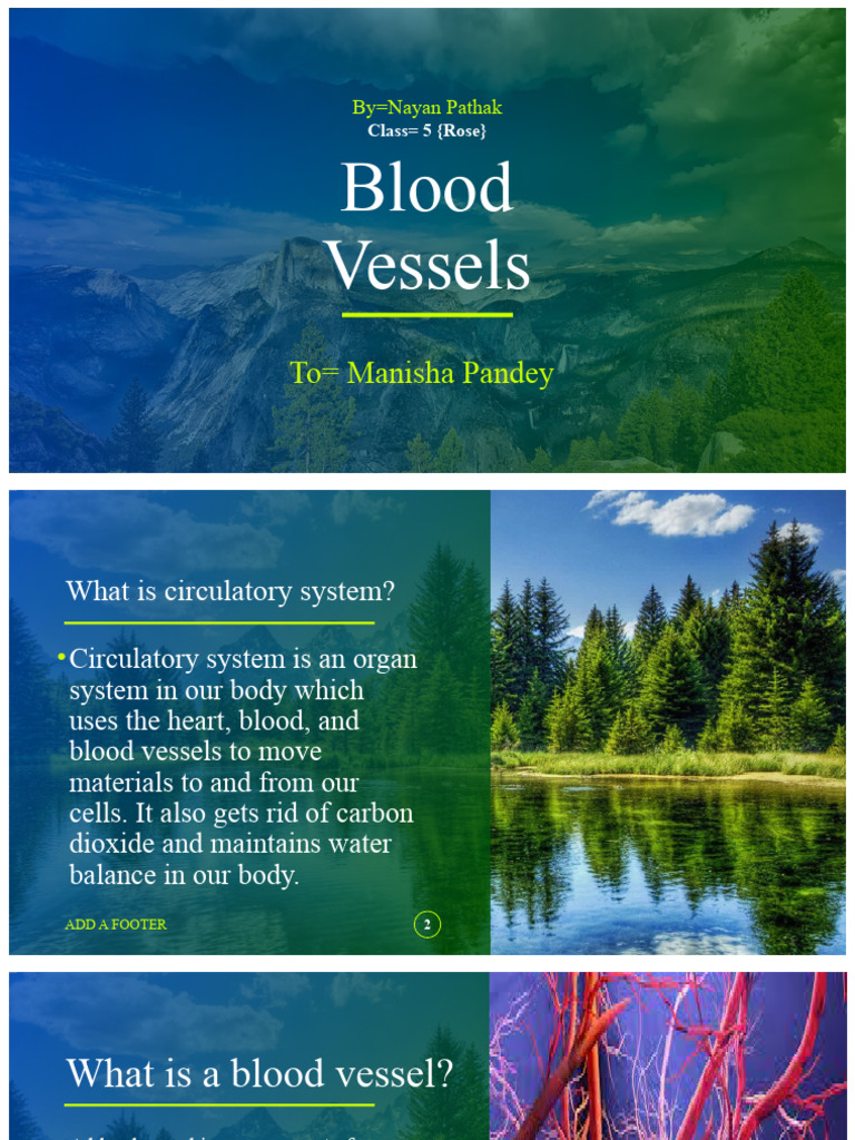 Understanding Blood Vessels and Circulation | PDF | Wellness