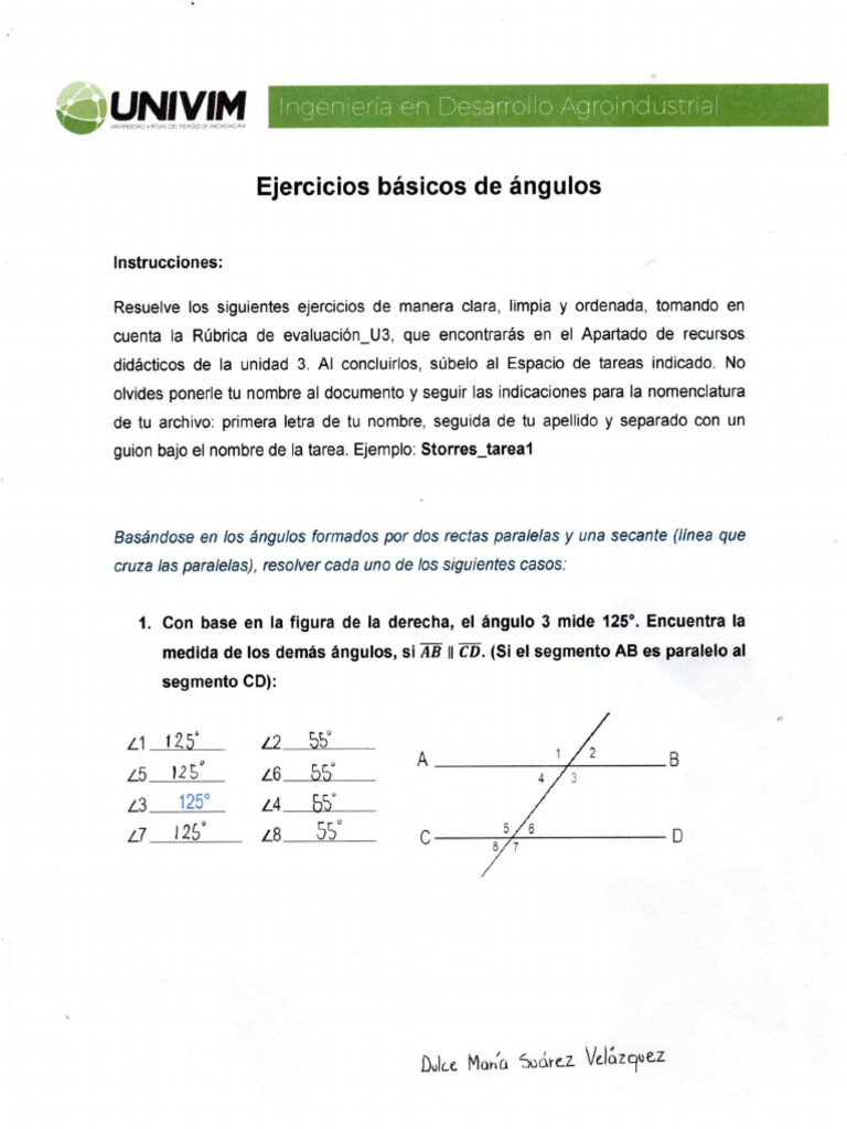 Ejercicios Basicos | PDF