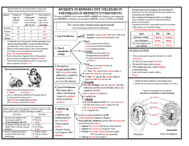 1.2 MEMO - Reproduction in Vertebrates 1pager | PDF