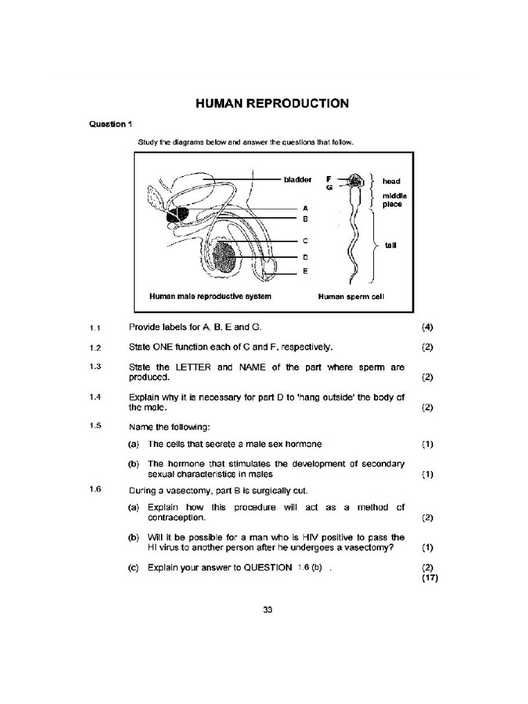 Human Reproduction | PDF
