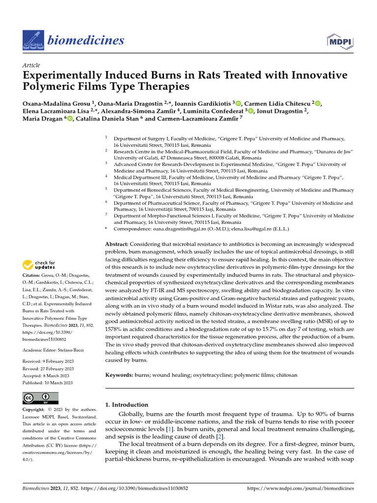 Experimentally Induced Burns in Rats Treated With Innovative Polymeric ...