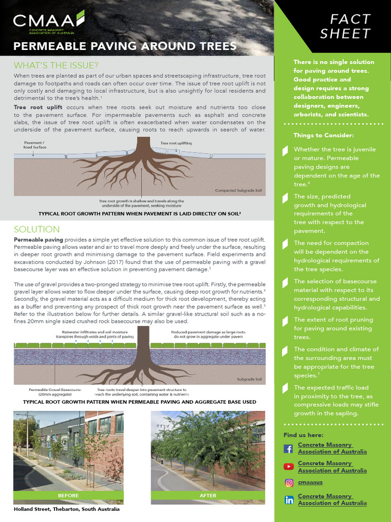 CMAA Tree Paving Factsheet | PDF | Masonry | Concrete