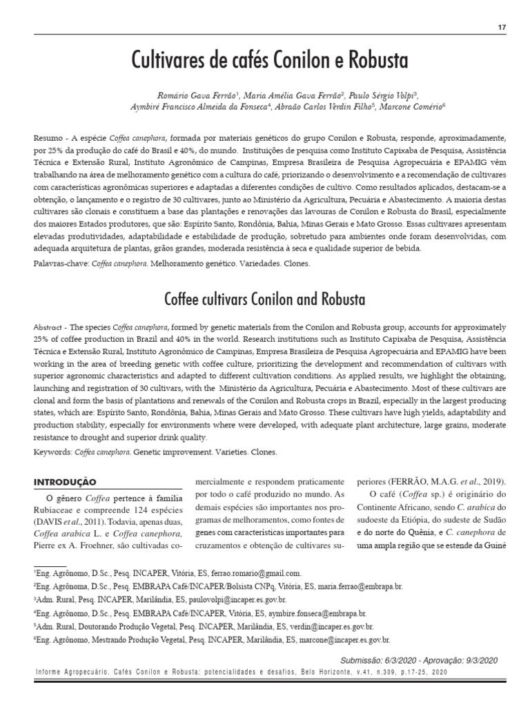 Cultivares Conilon Robusta Ferrao | PDF | Agricultura | Café