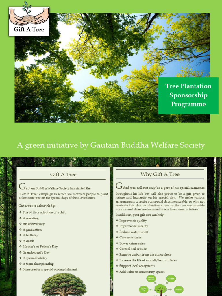 Gift A tree_merged | PDF | Trees | Earth Sciences