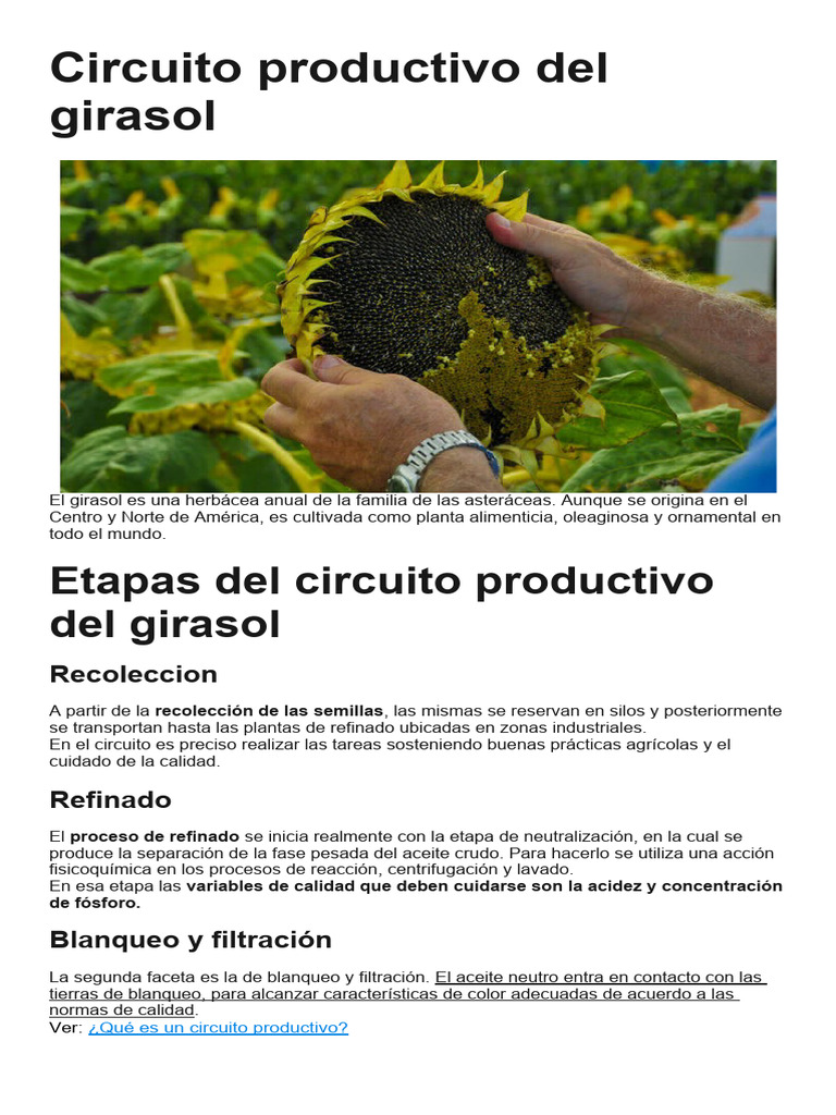 Circuito Productivo Del Girasol | PDF | Petróleo | Alimentos