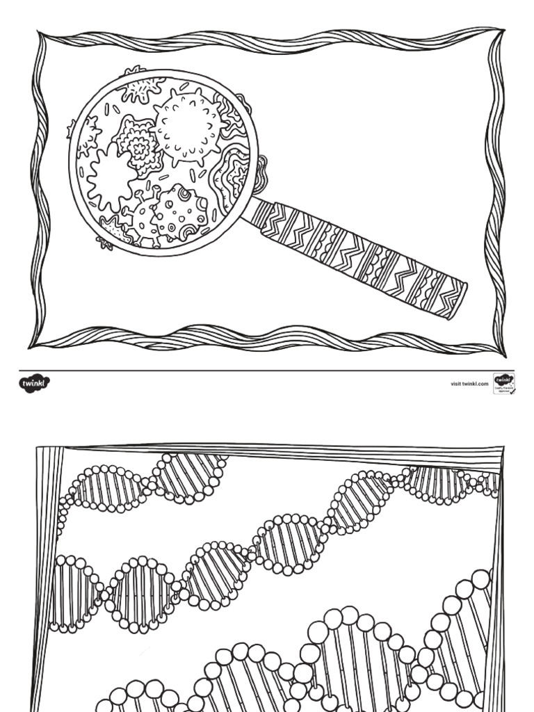 General Science Mindfulness Coloring Sheets Us S 1697123735 | PDF