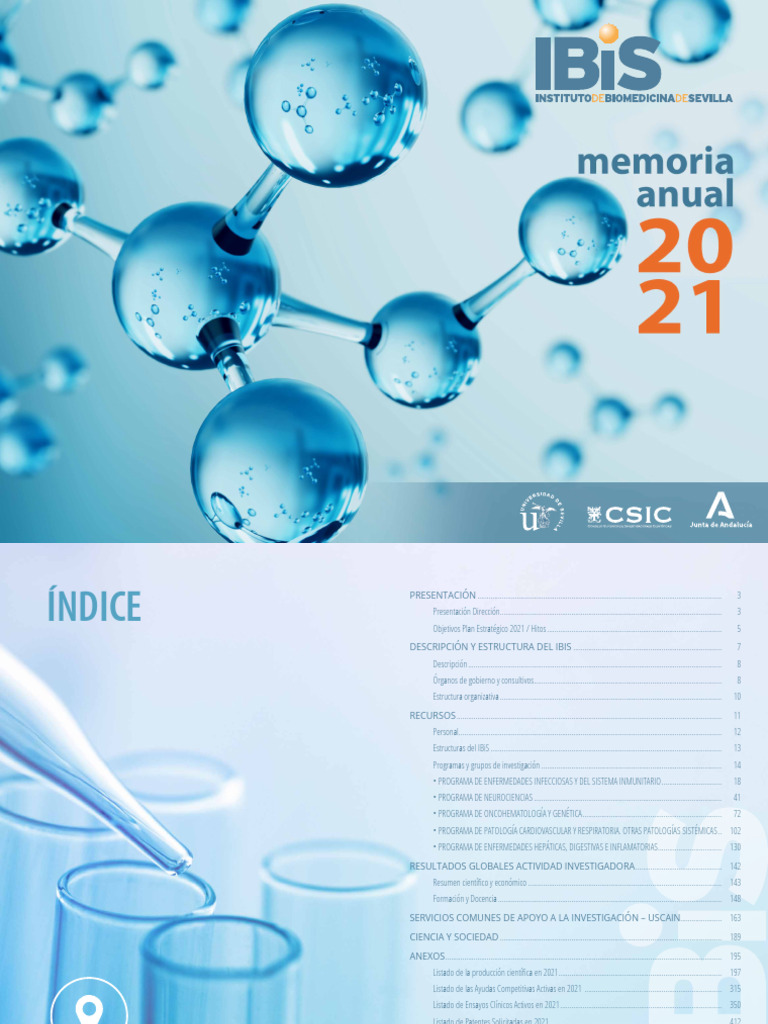 Memoria IBIS 2021 | PDF | Sevilla | Ciencias de la Salud