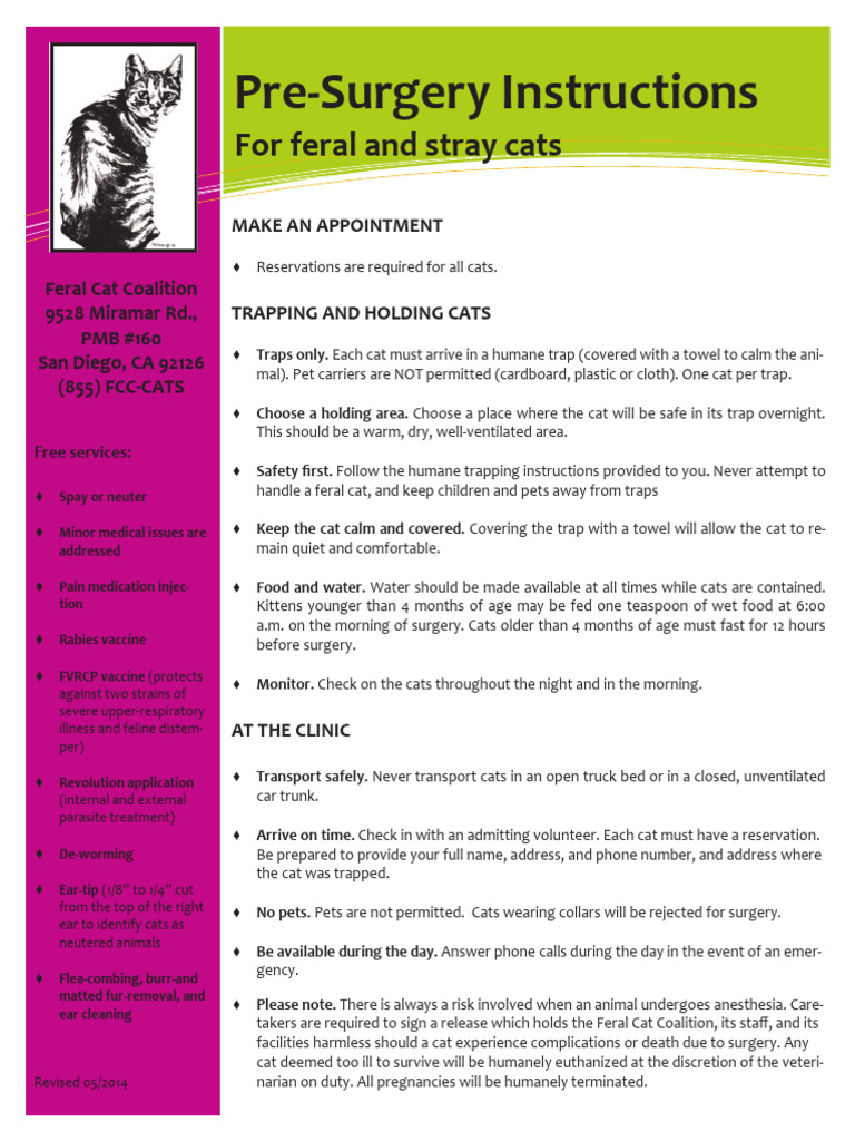 Surgery Instructions Feral | PDF | Cats | Surgery