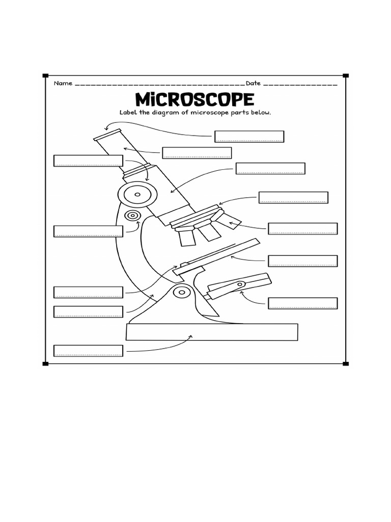 microscope-parts-quiz-worksheet_74143.jpg | PDF