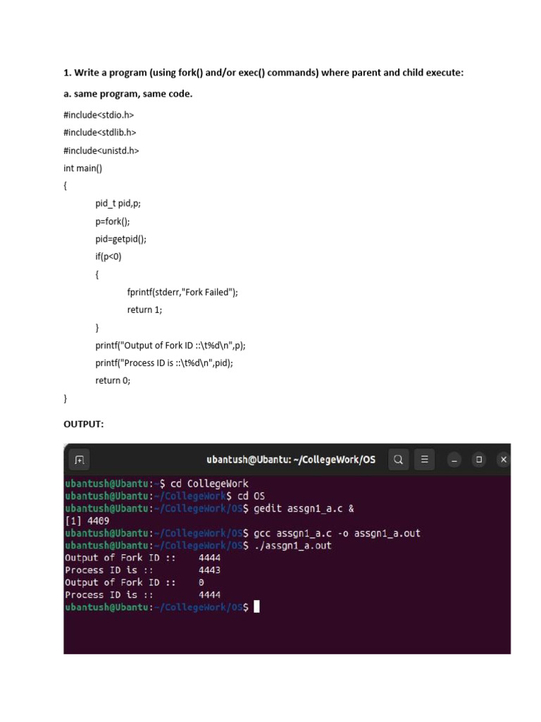 OS Assignment | PDF | Software | Computer Science