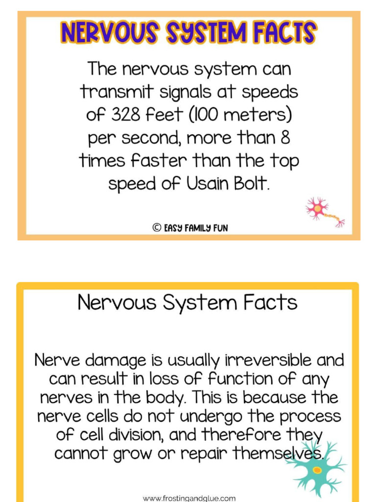 Nervous System Game | PDF
