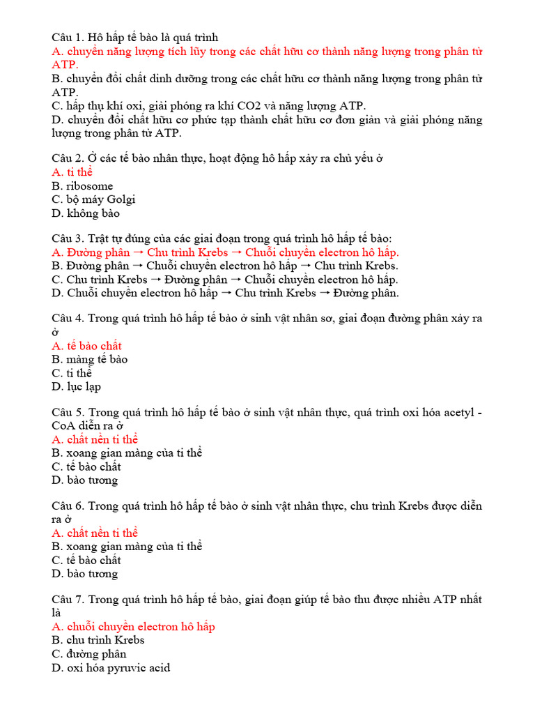 Ôn tập KTGK II | PDF