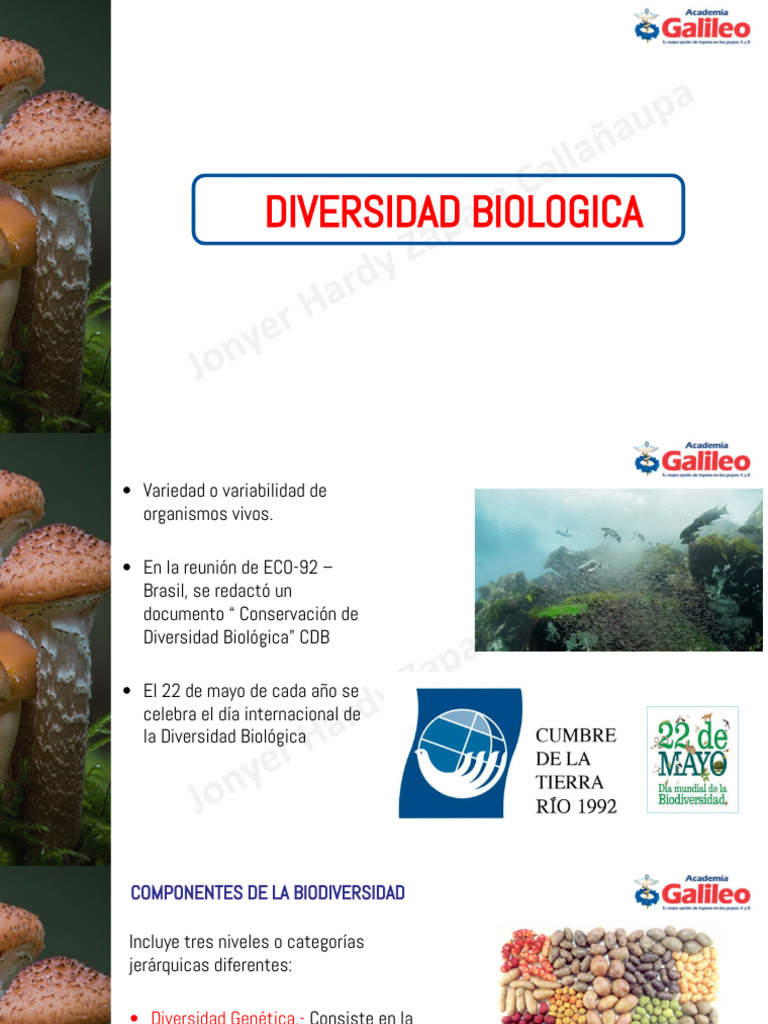 Tema 6 - Eco | PDF | Biodiversidad | Ecología