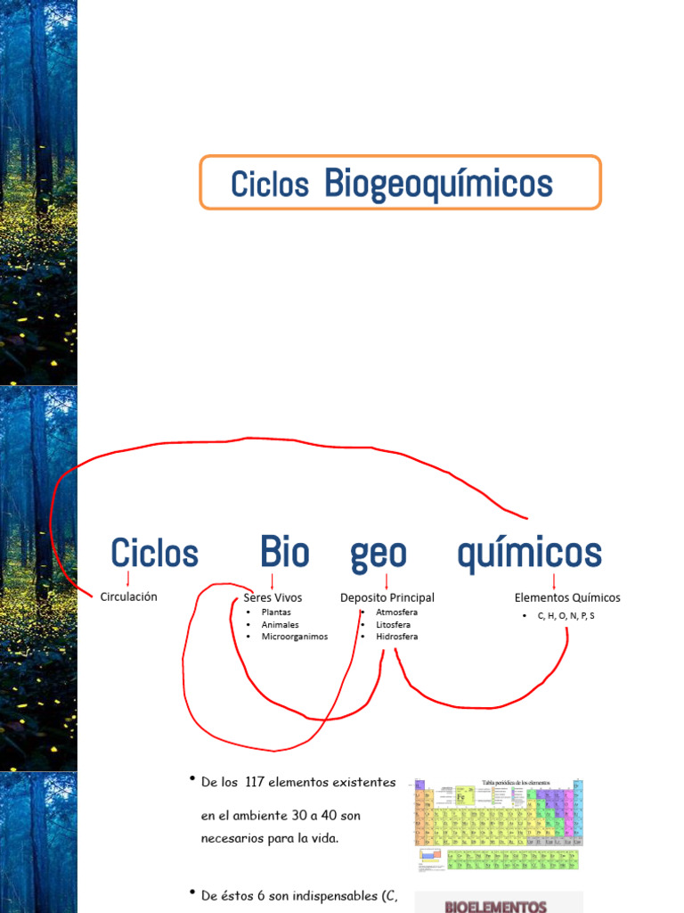 Tema 5 - Eco | PDF | Fertilizante | Química