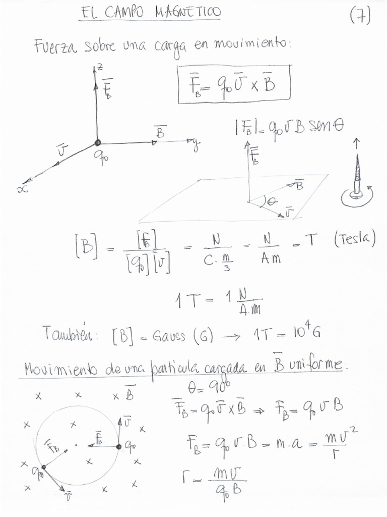 Tema 6 - Campo Magnético II | PDF
