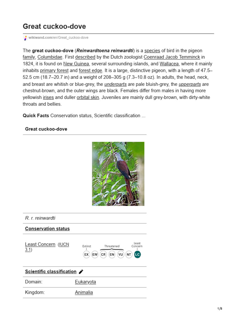 Wikiwand.com Great Cuckoo Dove | PDF | Zoology | Ornithology