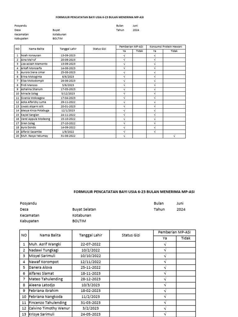 Form Pencatatan MP-ASI JUNI 2024 | PDF