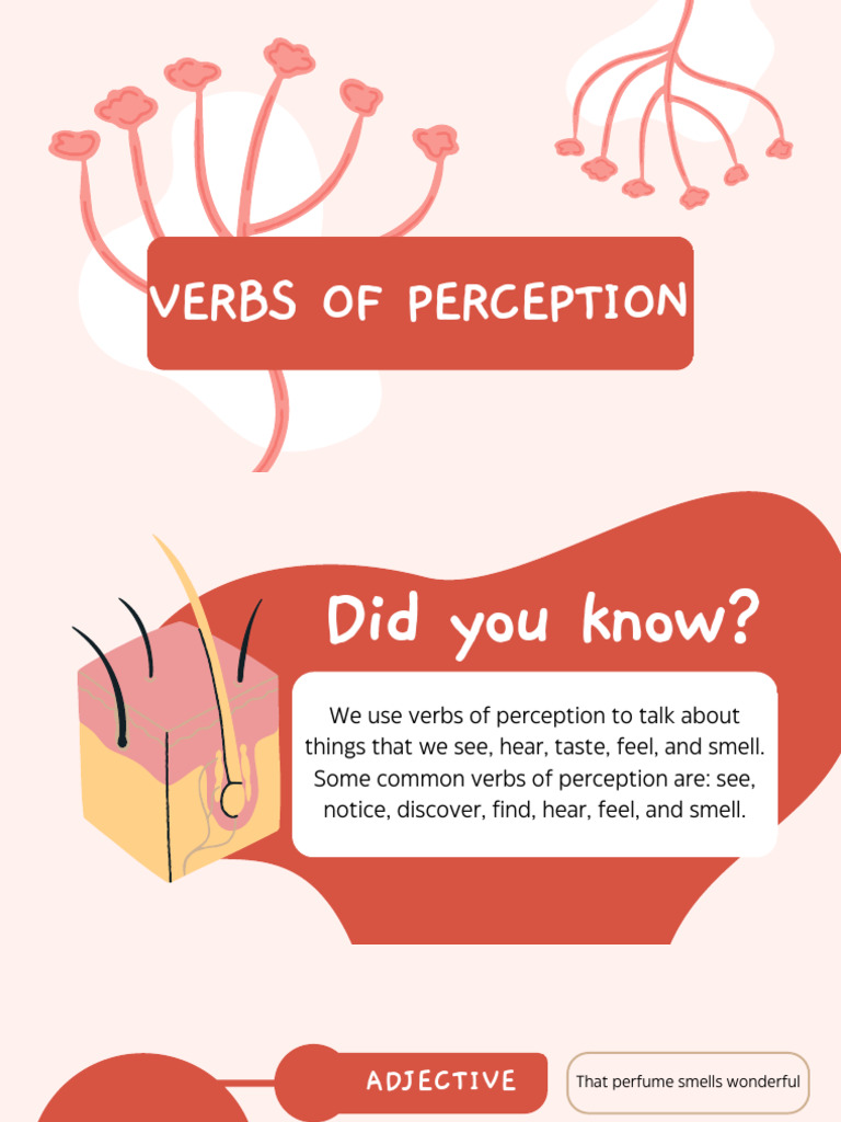 VERBS OF PERCEPTION-1 | Download Free PDF | Verb | Senses
