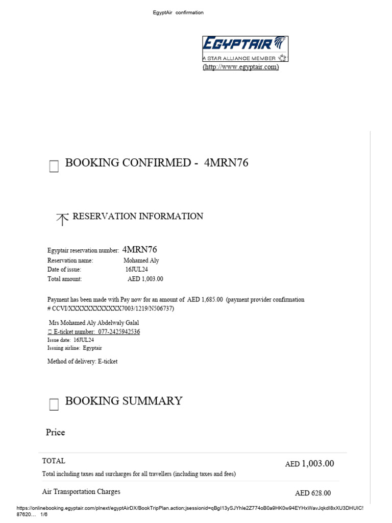 EgyptAir Confirmation PDF | PDF | Baggage | Fee