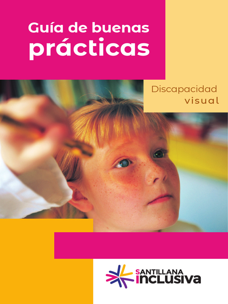 Discapacidad Visual Guia de Buenas Practicas | PDF | Invalidez ...