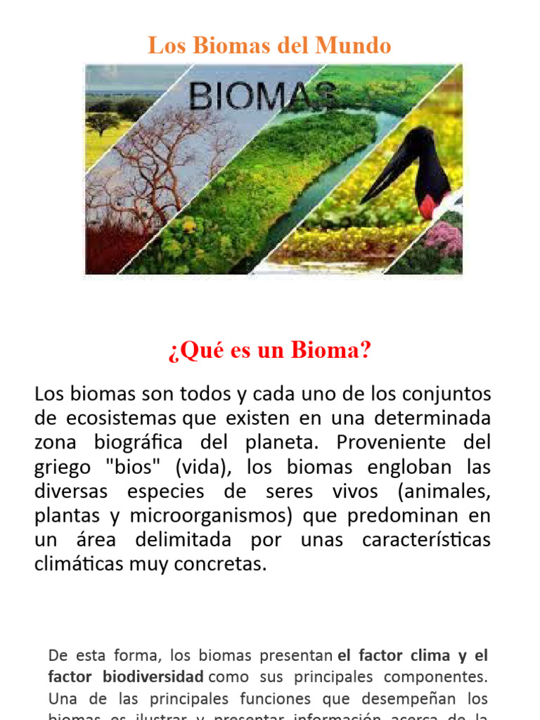 Los Biomas Del Mundo | PDF | Clima | Desierto