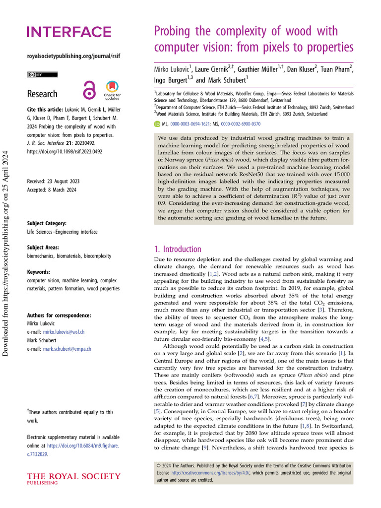 Lukovic Et Al 2024 Probing The Complexity of Wood With Computer Vision From Pixels To Properties ...