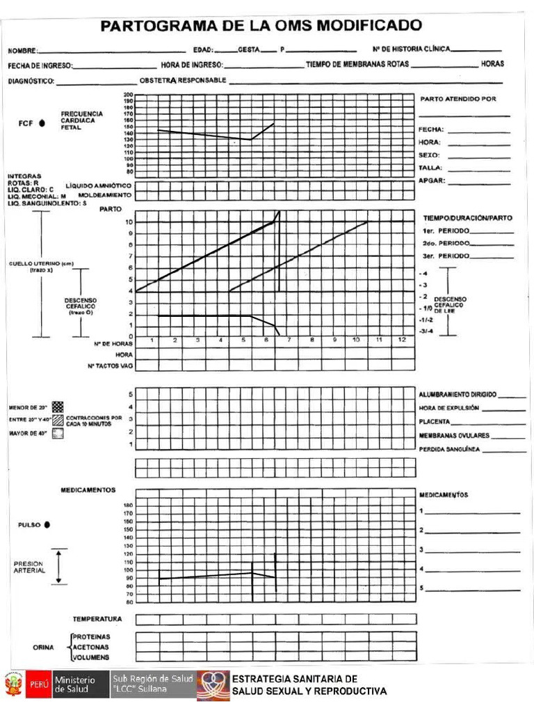 Práctica Partograma | PDF