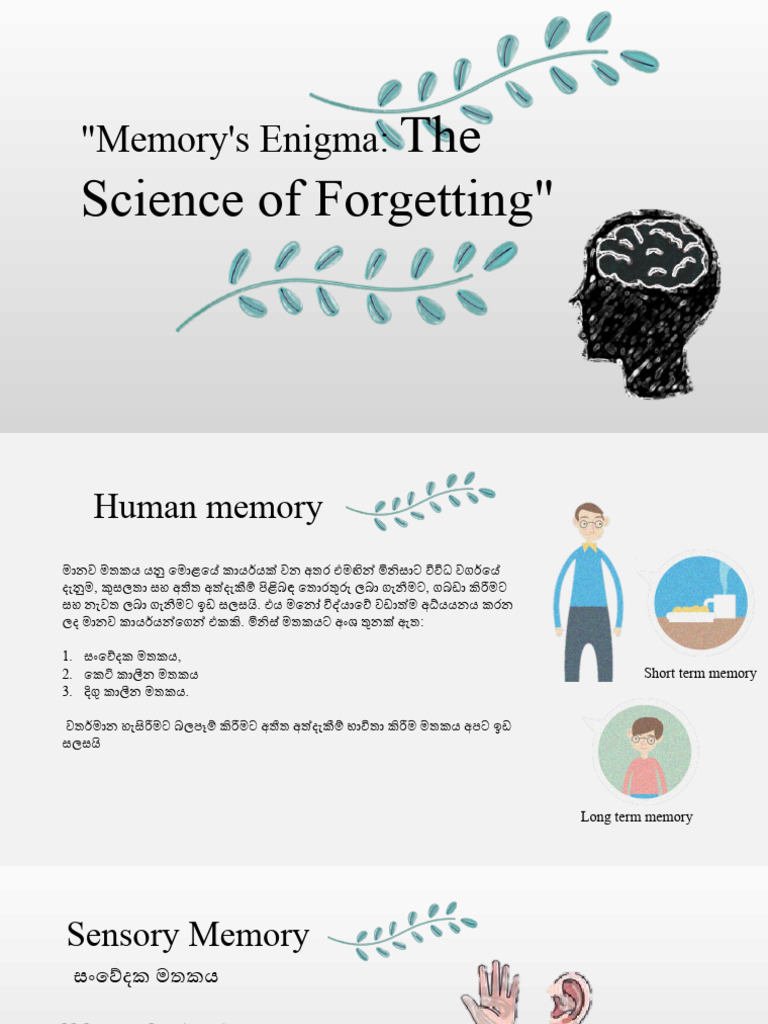 The science behind thinking | PDF