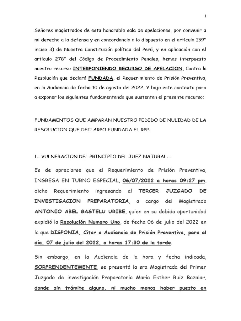 AMBAR | PDF | Ley procesal | Esfera pública