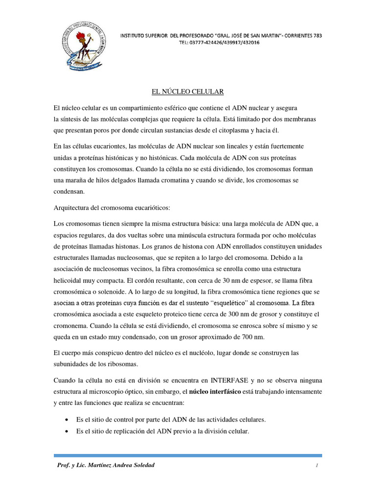 NUCLEO CELULAR. | PDF | Nucleo celular | Cromosoma