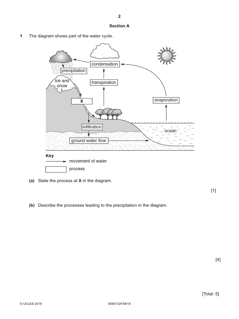 IGCSE Water Cycle and Management Insights | PDF | Water | Water Cycle