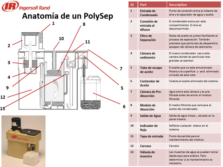Anatomia de Un PolySep | PDF
